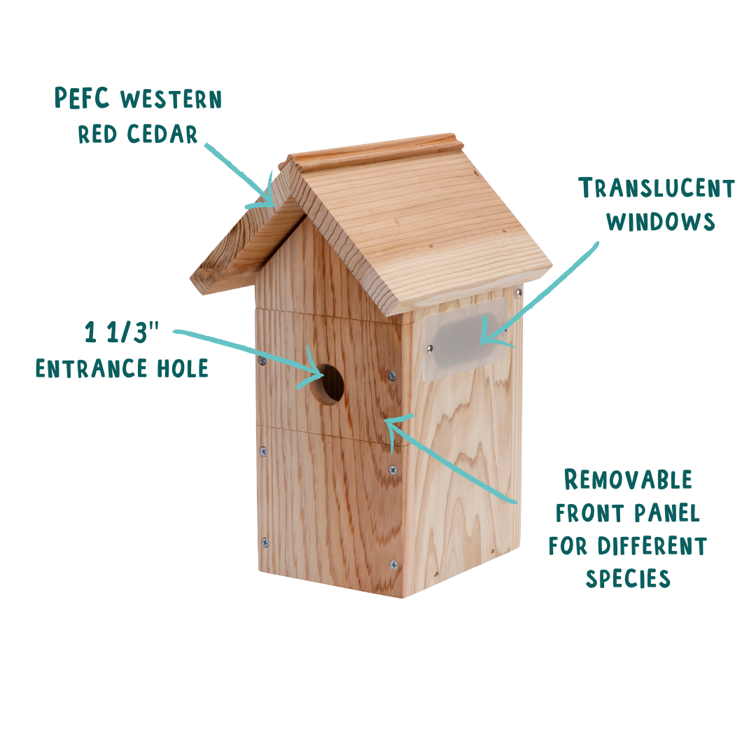 WiFi Bird House Camera System