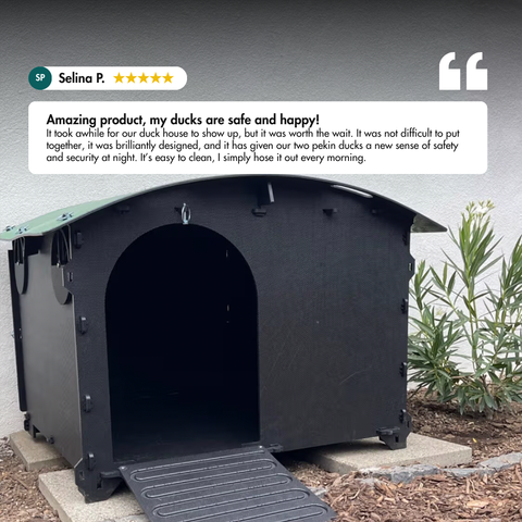 Duck House | Recycled Plastic and easy to clean Duck house