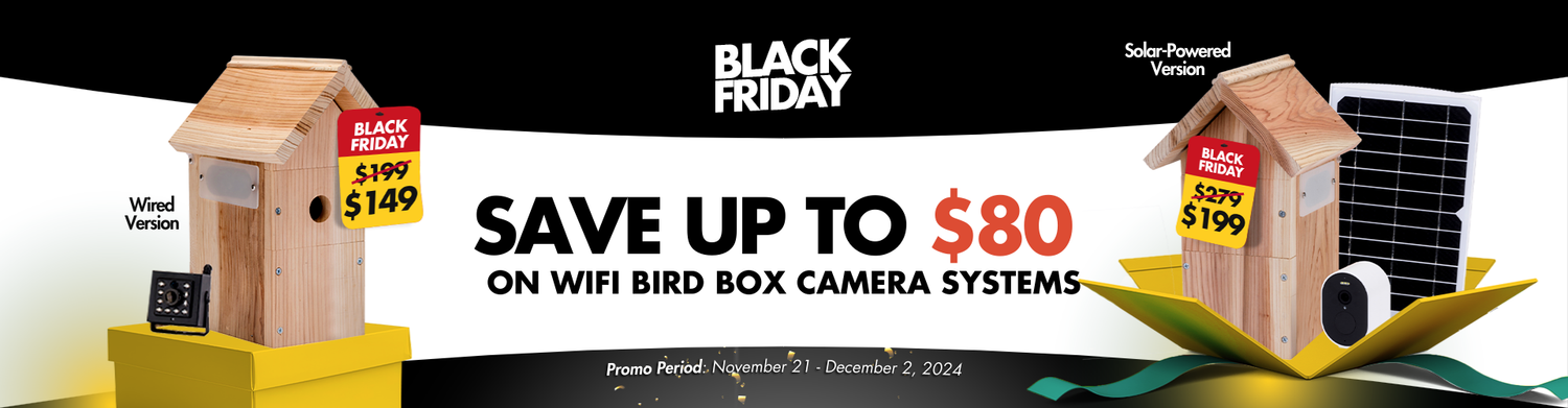 WiFi Bird House Camera System