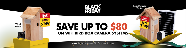 WiFi Bird House Camera System