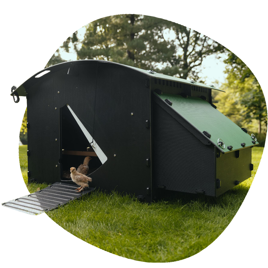 Find the Perfect Chicken Coop – Nestera Coops for Sale