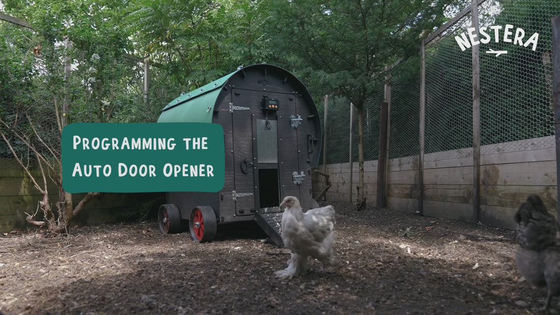 Recycled Plastic Chicken Coop | Automatic Door Opener